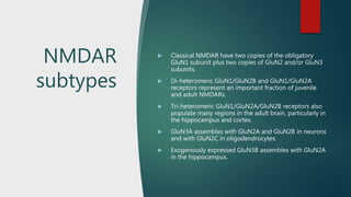 Nmda receptors and glun3 subunits: a review | PPT