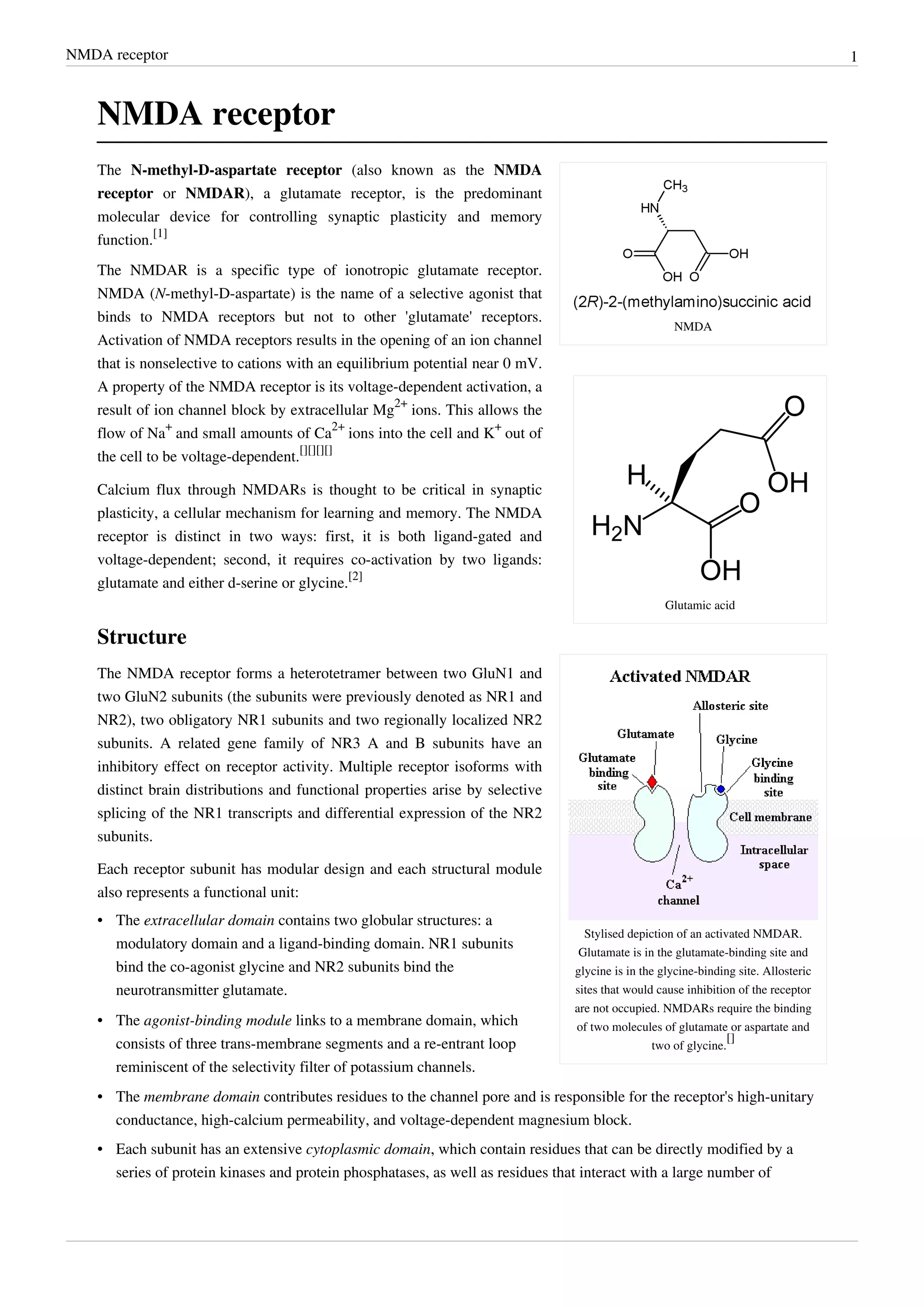 NMDA Receptors-GLUTAMATE-GLYCINE-SERINE and CNS Neurobiology | PDF