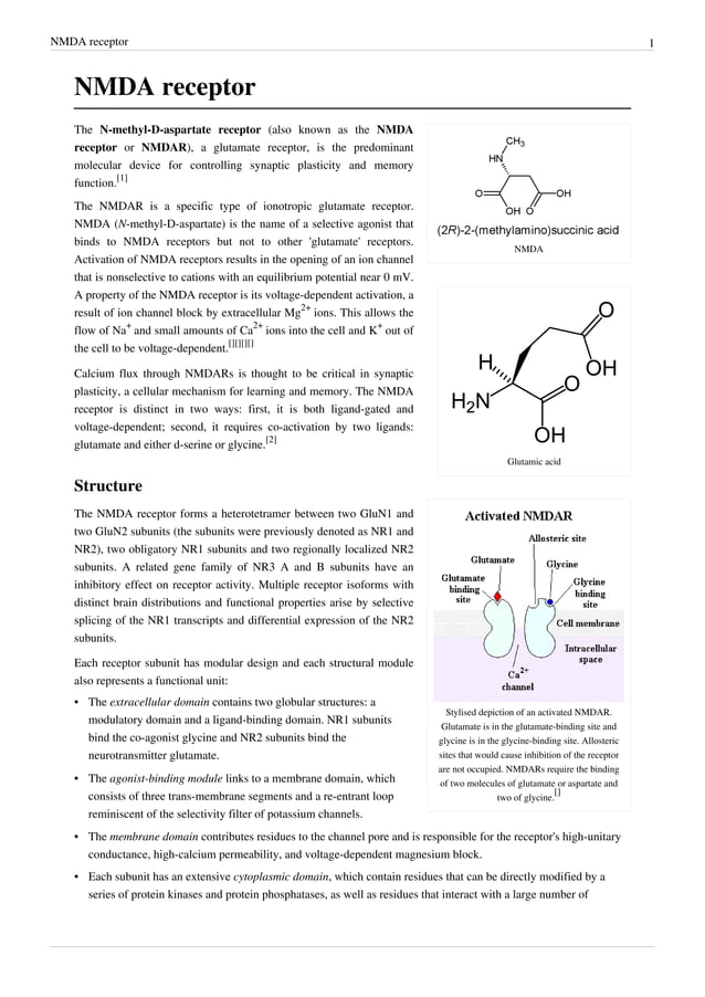 NMDA Receptors-GLUTAMATE-GLYCINE-SERINE and CNS Neurobiology | PDF