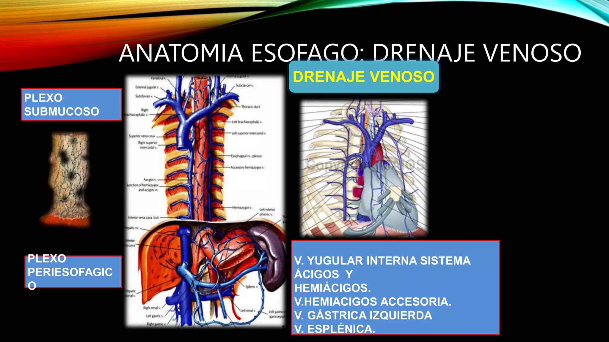 NM DE ESOFAGO GENERALIDADES.pptx