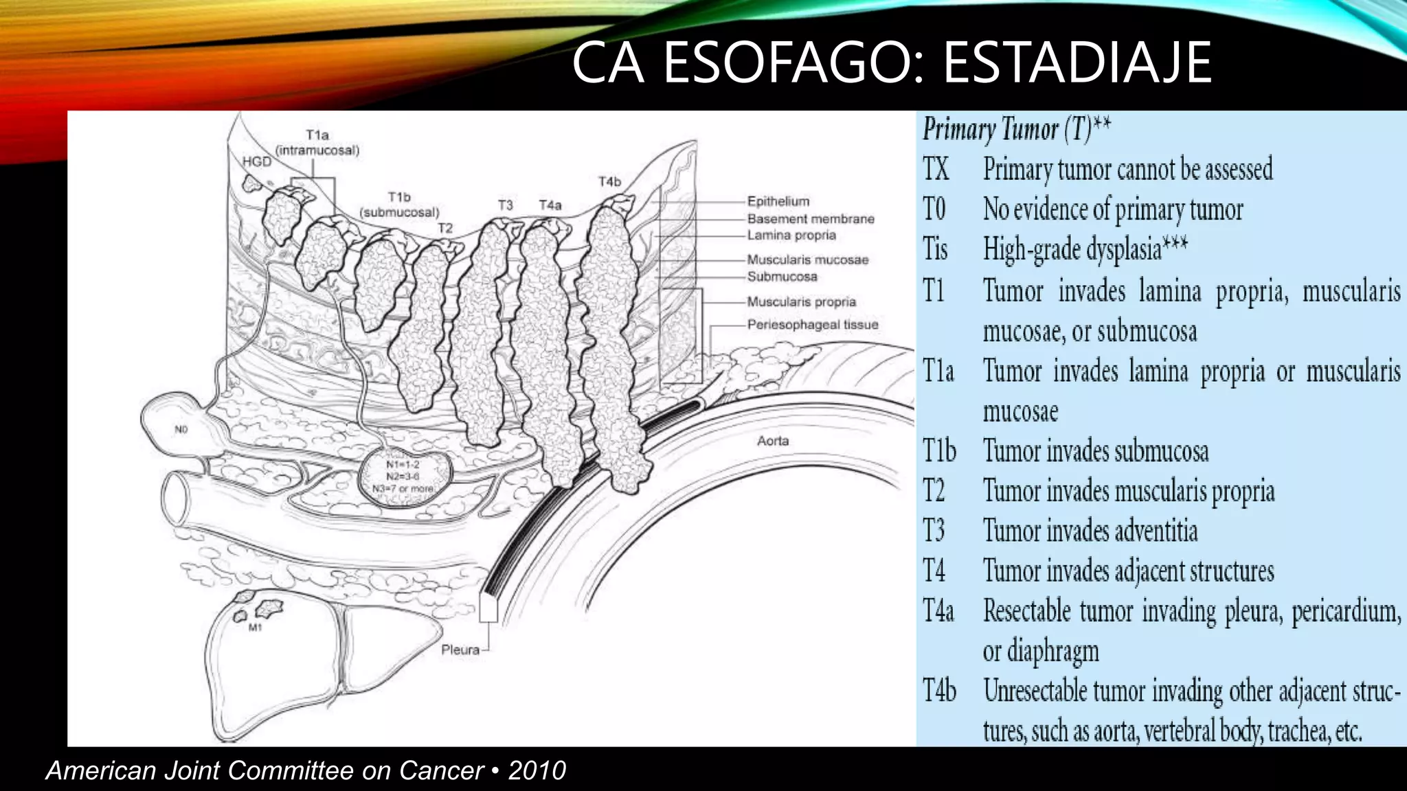 NM DE ESOFAGO GENERALIDADES.pptx