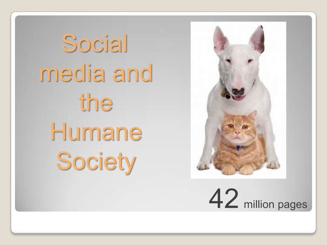 Nmdl final presentation | PPT