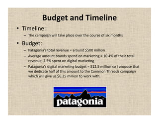 NMDL Final Project - Patagonia | PDF