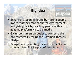 NMDL Final Project - Patagonia | PDF