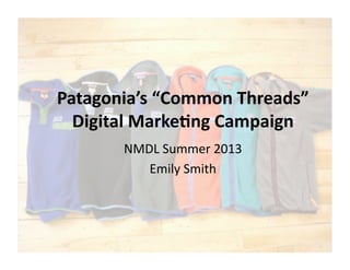 NMDL Final Project - Patagonia | PPT