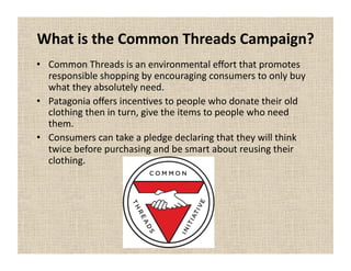 NMDL Final Project - Patagonia | PPT