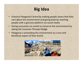 NMDL Final Project - Patagonia | PPT