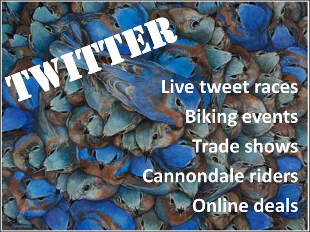 Cannondale's New Media Marketing Strategy by Kyle Mulder | PPTX