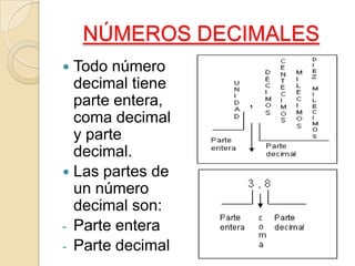 Números decimales | PPTX