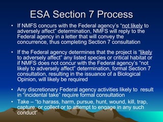 NERO ESA Section 7 presentation to EPA | PPT