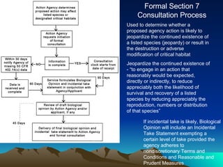NERO ESA Section 7 presentation to EPA | PPT