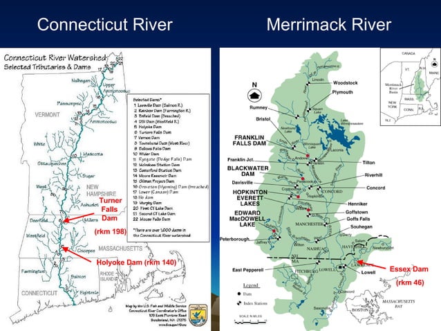NERO ESA Section 7 presentation to EPA | PPT | Zoos & Aquariums ...