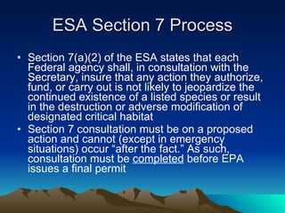 NERO ESA Section 7 presentation to EPA | PPT