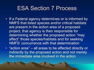 NERO ESA Section 7 presentation to EPA | PPT