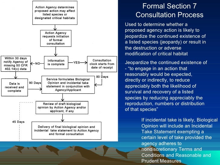 NERO ESA Section 7 presentation to EPA