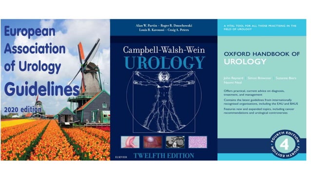 Nmibc, NON MUSCLE INVASIVE BLADDER CANCER | PPTX | Cancer | Diseases ...