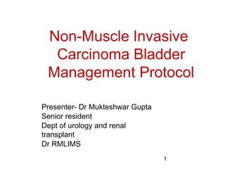 NMIBC.pptx