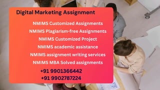 NMIMS Customized Digital Marketing - BBA Assignment.pdf