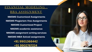 NMIMS Customized Financial Modeling - BBA Assignment.pdf