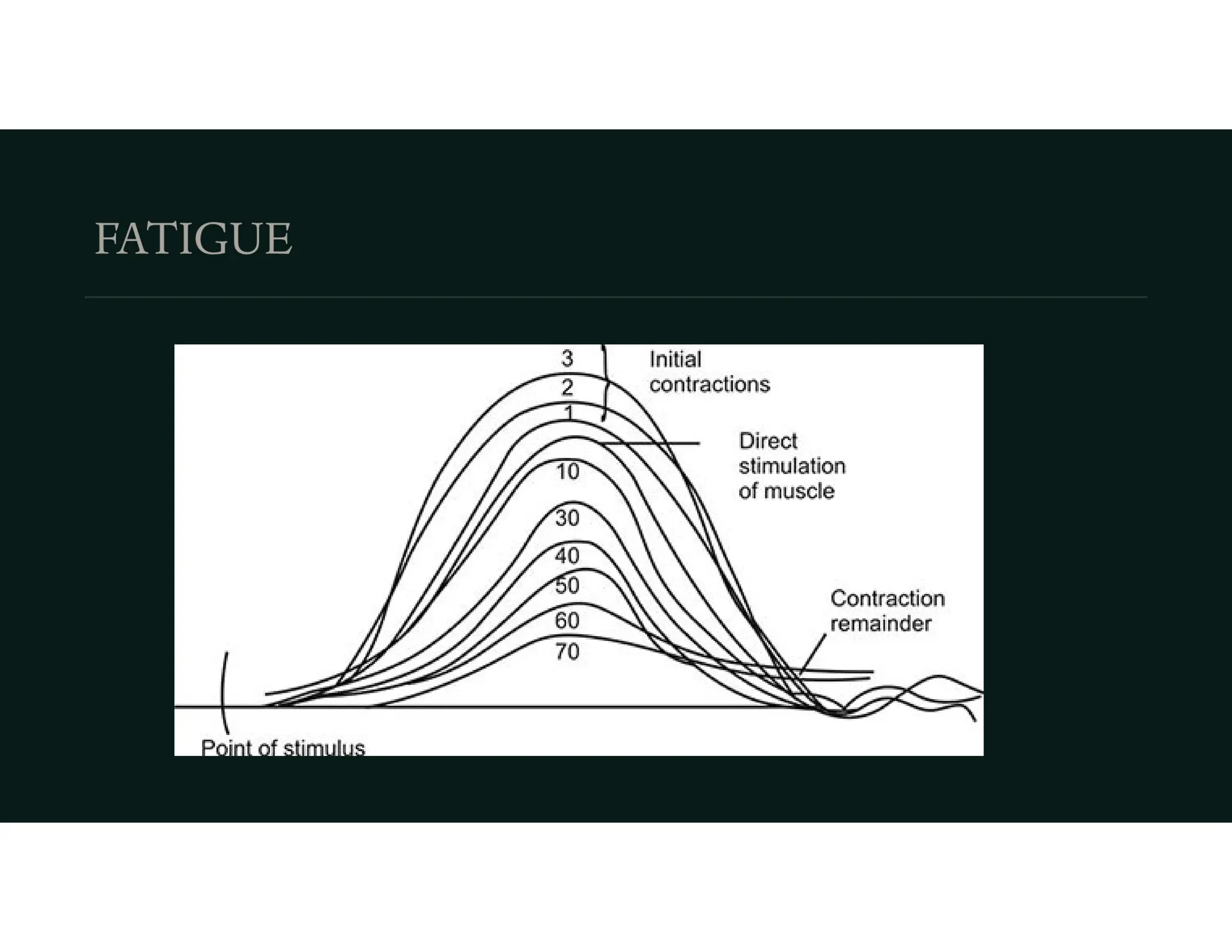 Nm Instruments Graphs 2 Pdf