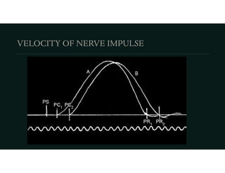 NM instruments & graphs 2.pdf