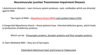 Neuromuscular Junction | PPT