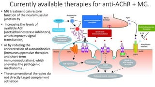 Neuromuscular Junction | PPTX