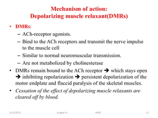 Neuro Muscular Junction.pptx