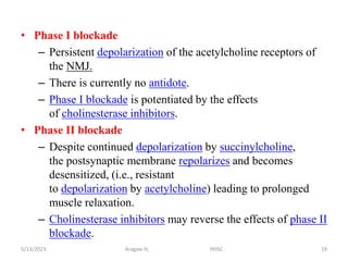 Neuro Muscular Junction.pptx | Brain and Nervous System Disorders ...