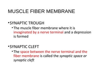 Nmj anatomy by shaweta khosa | PPT