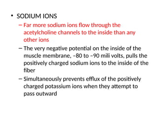 Nerve muscle physiology- Neuro muscular junction | PPTX