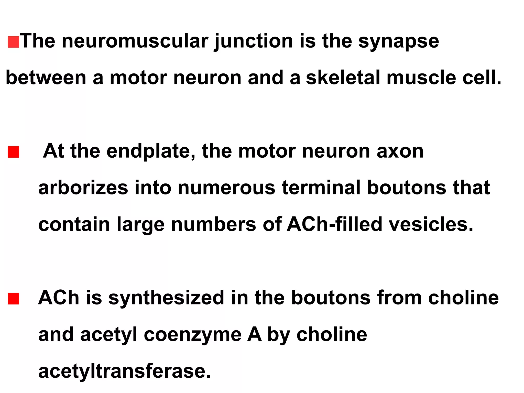 NEURO-MUSCULAR Junction and SKELETAL muscular contraction DR.RAHUL | PPTX