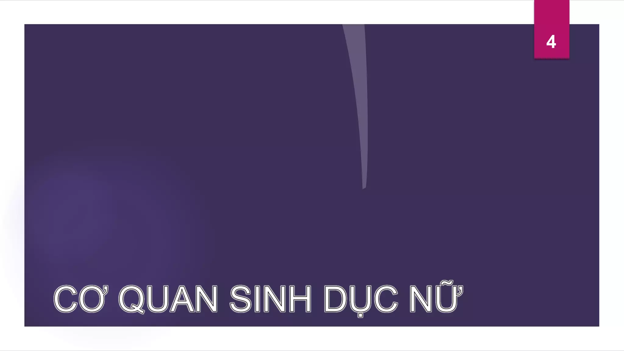 giải phẫu hệ sinh dục | PDF