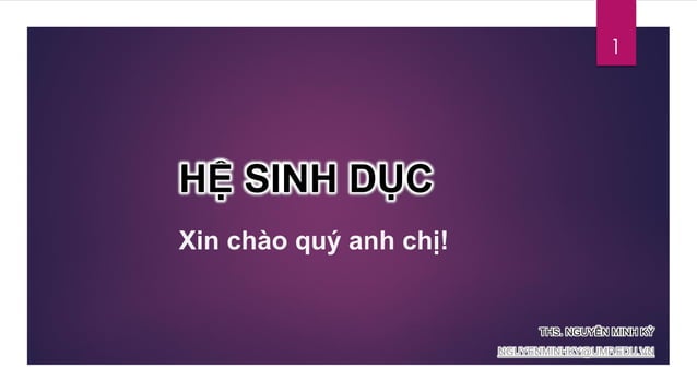 giải phẫu hệ sinh dục | PDF