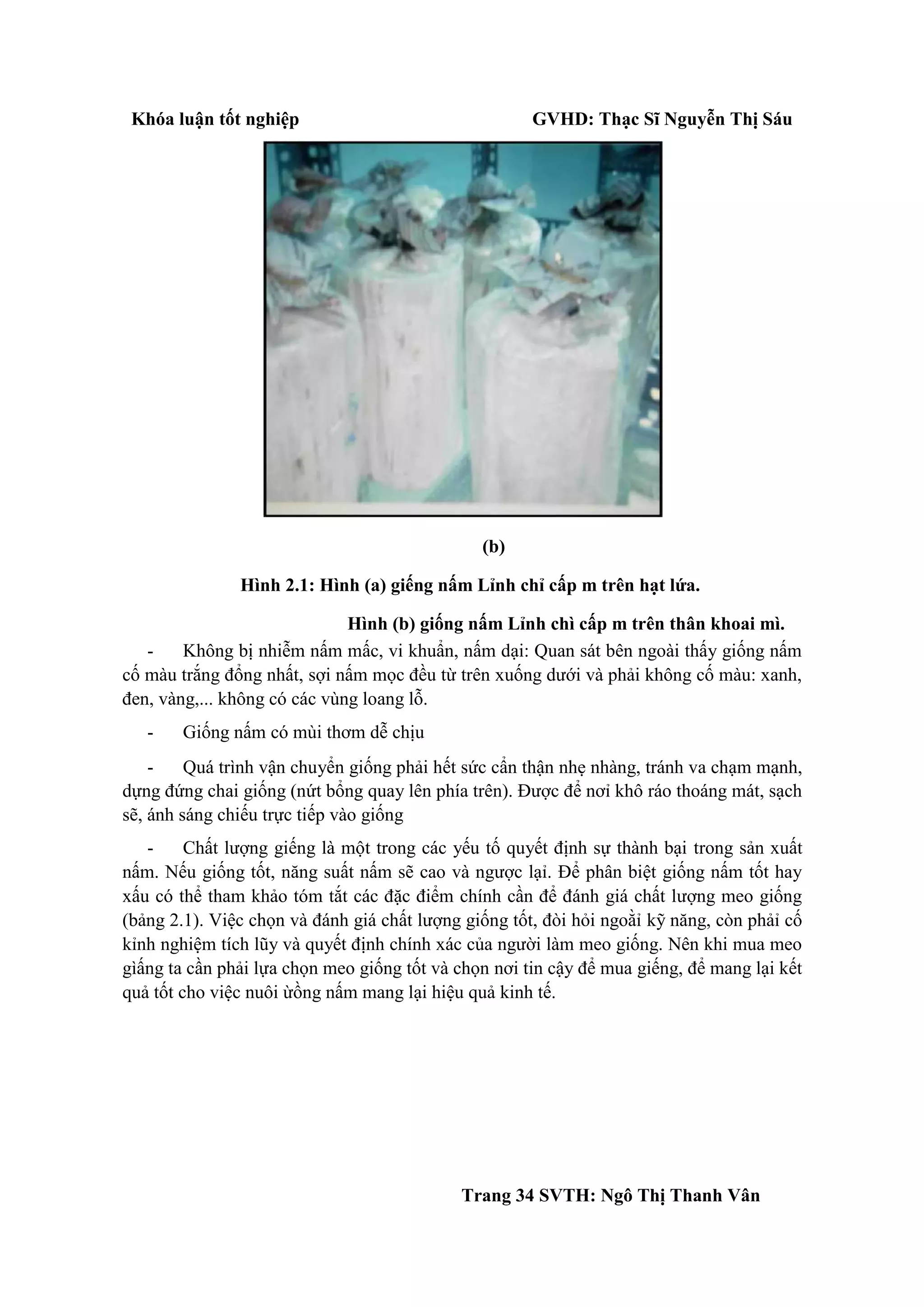 Nấm linh chi luan văn | PDF