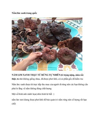 Nấm linh chi lim xanh tự nhiên Quảng Nam | PDF