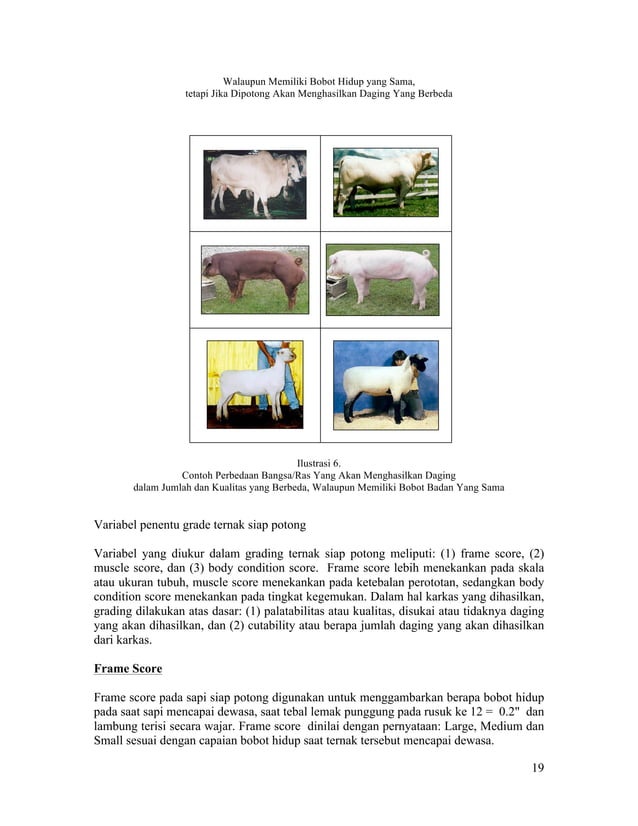 Grading Ternak Siap Potong Part.1 | PDF