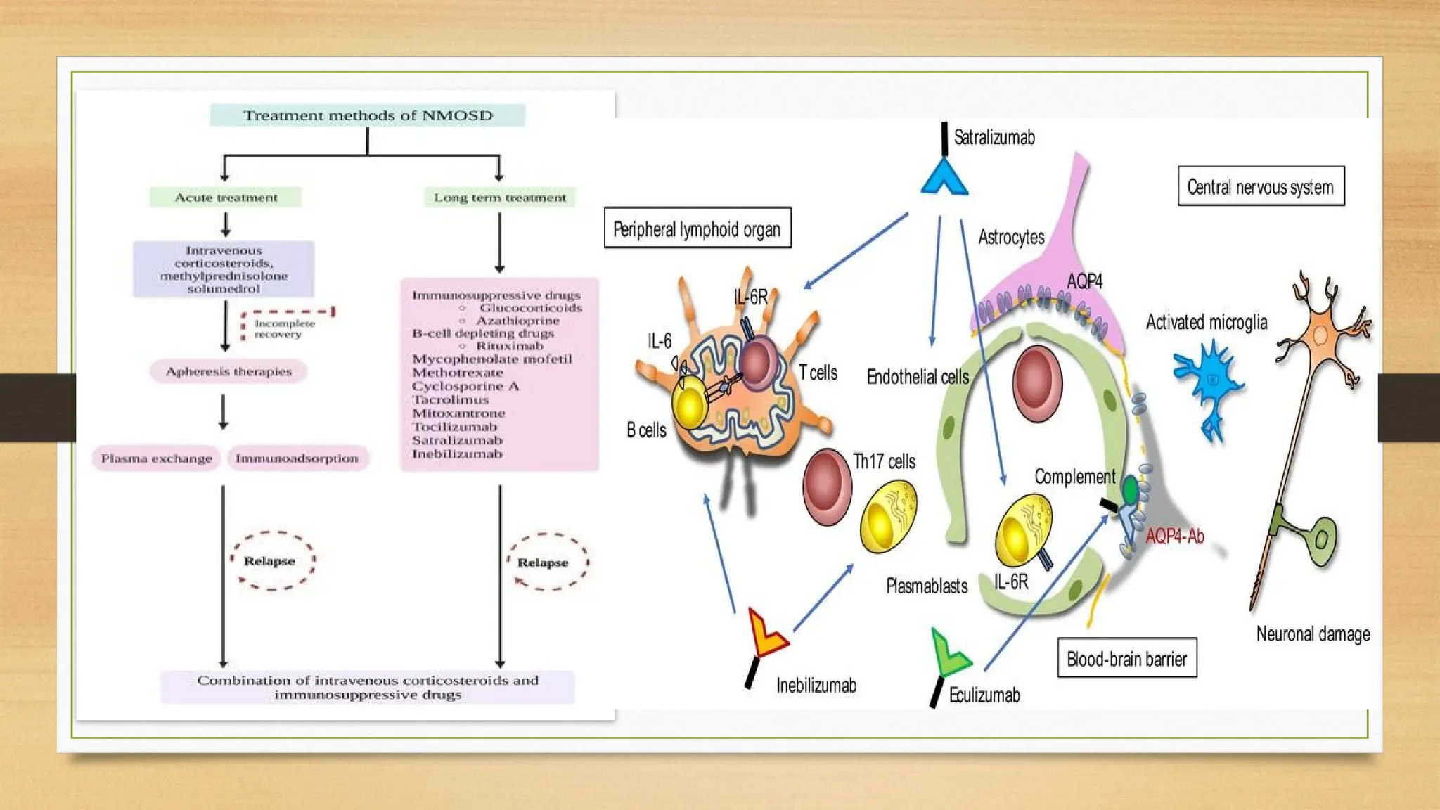 NMOSD(Neuromyelitis Optica Spectrum Disorder).pptx