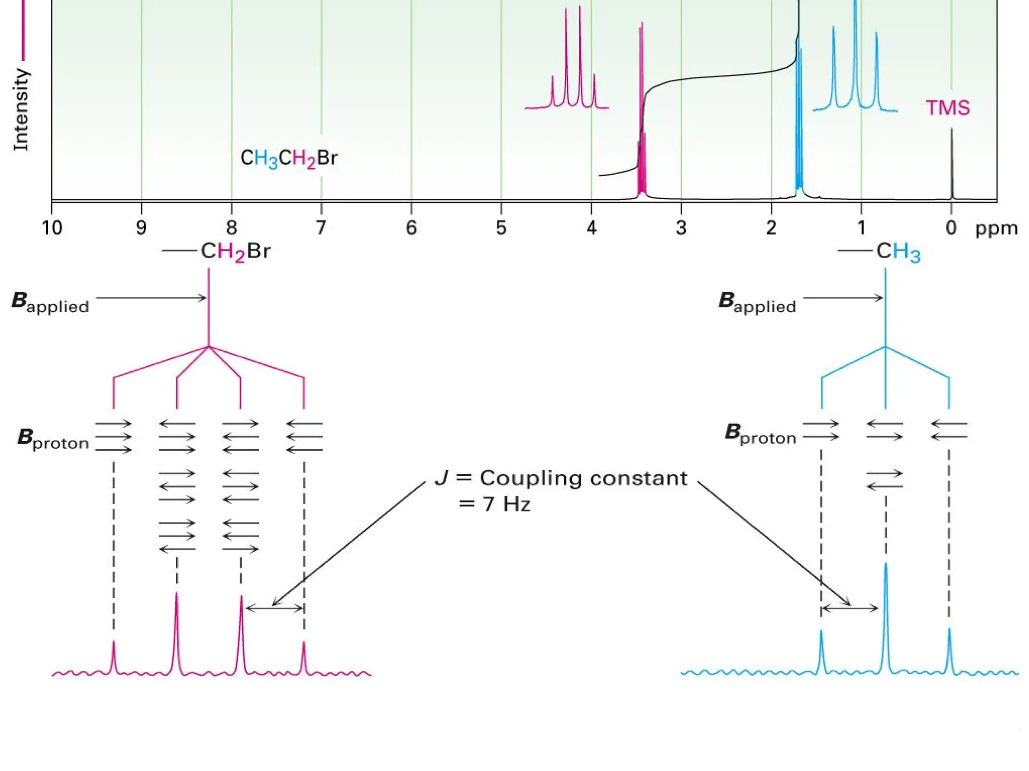 NUCLEAR MAGNETIC RESONANCE SPECTROSCOPY.. | PPT