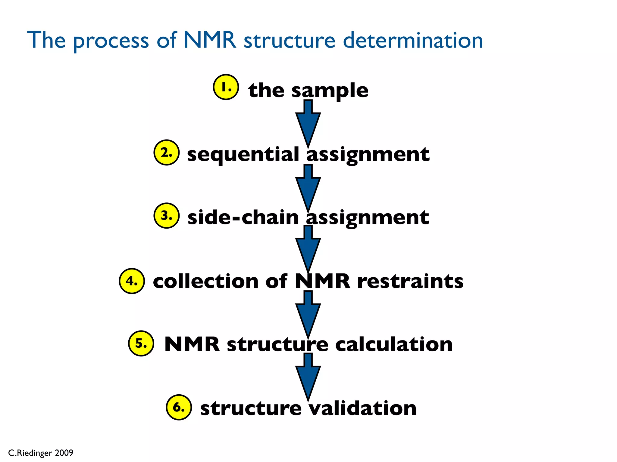 NMR assignments and structure determination | ZIP