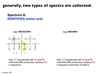 NMR assignments and structure determination | ZIP