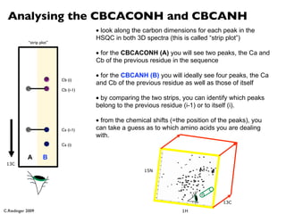 NMR assignments and structure determination | ZIP