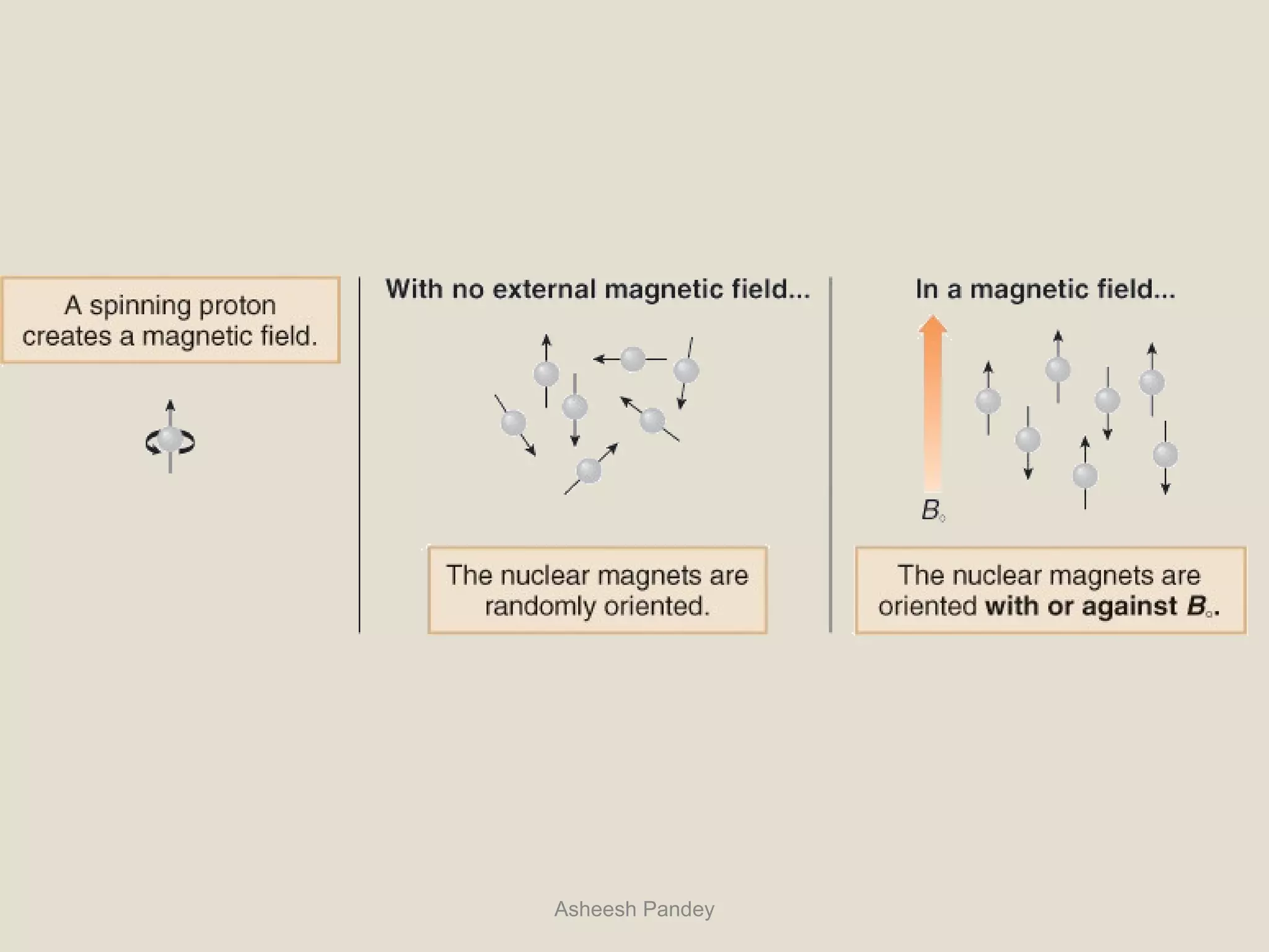 NMR by asheesh pandey | PPT