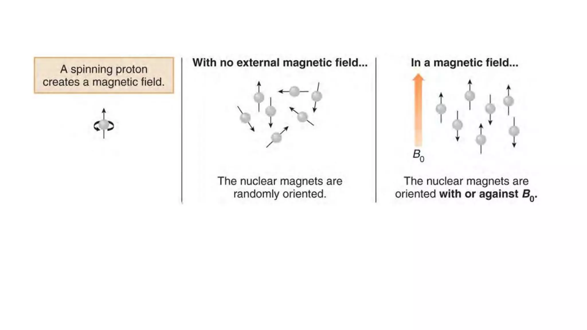 NMR for PHD students_6-6-2023_pdf.pdf | Chemistry | Science