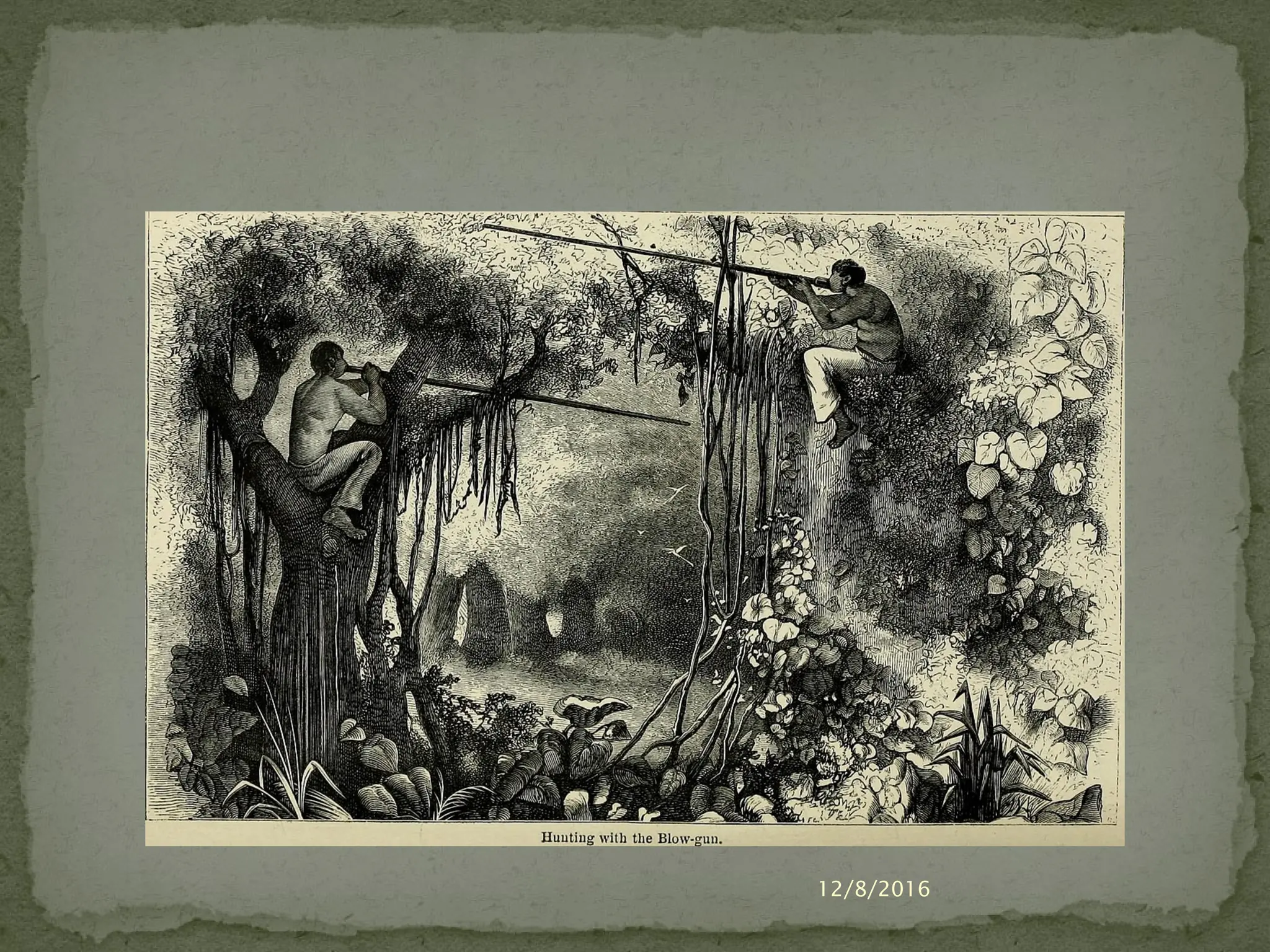 NMS in Practice, Neuromuscular monitoring during general anesthesia ...