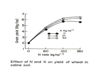 NM Strategies for Sustaining Crop Production in Salt Affected Soils of ...