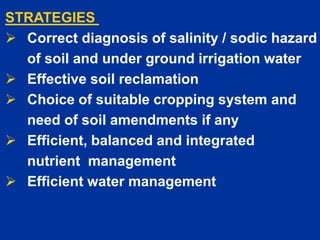 NM Strategies for Sustaining Crop Production in Salt Affected Soils of ...