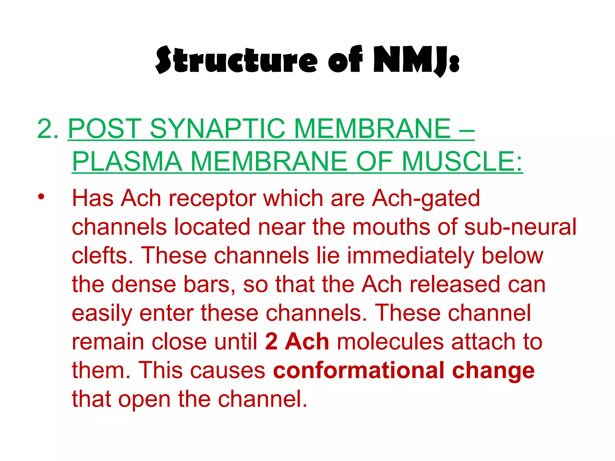 Neuromuscular Transmission | PPT
