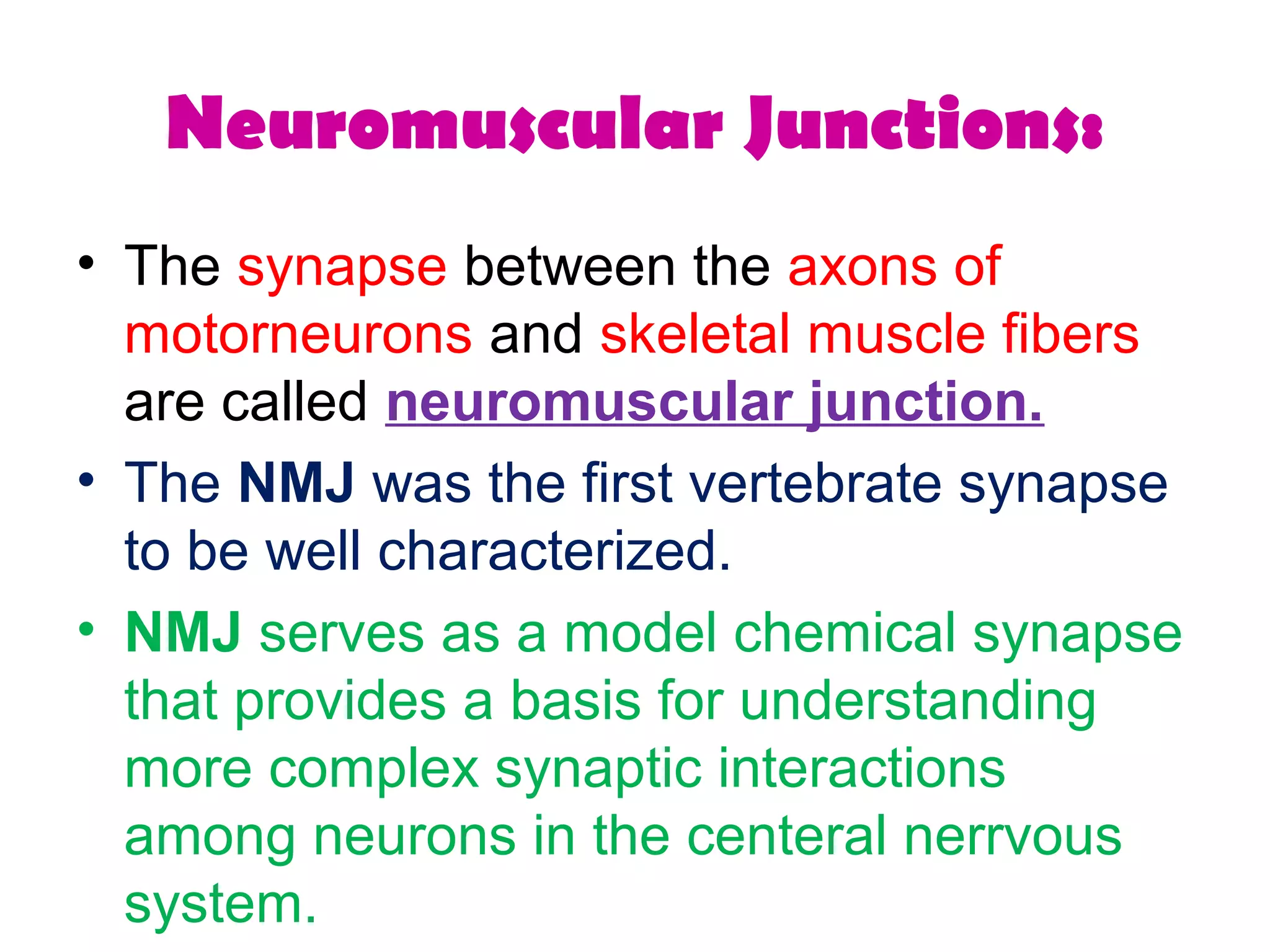 Neuromuscular Transmission | PPT