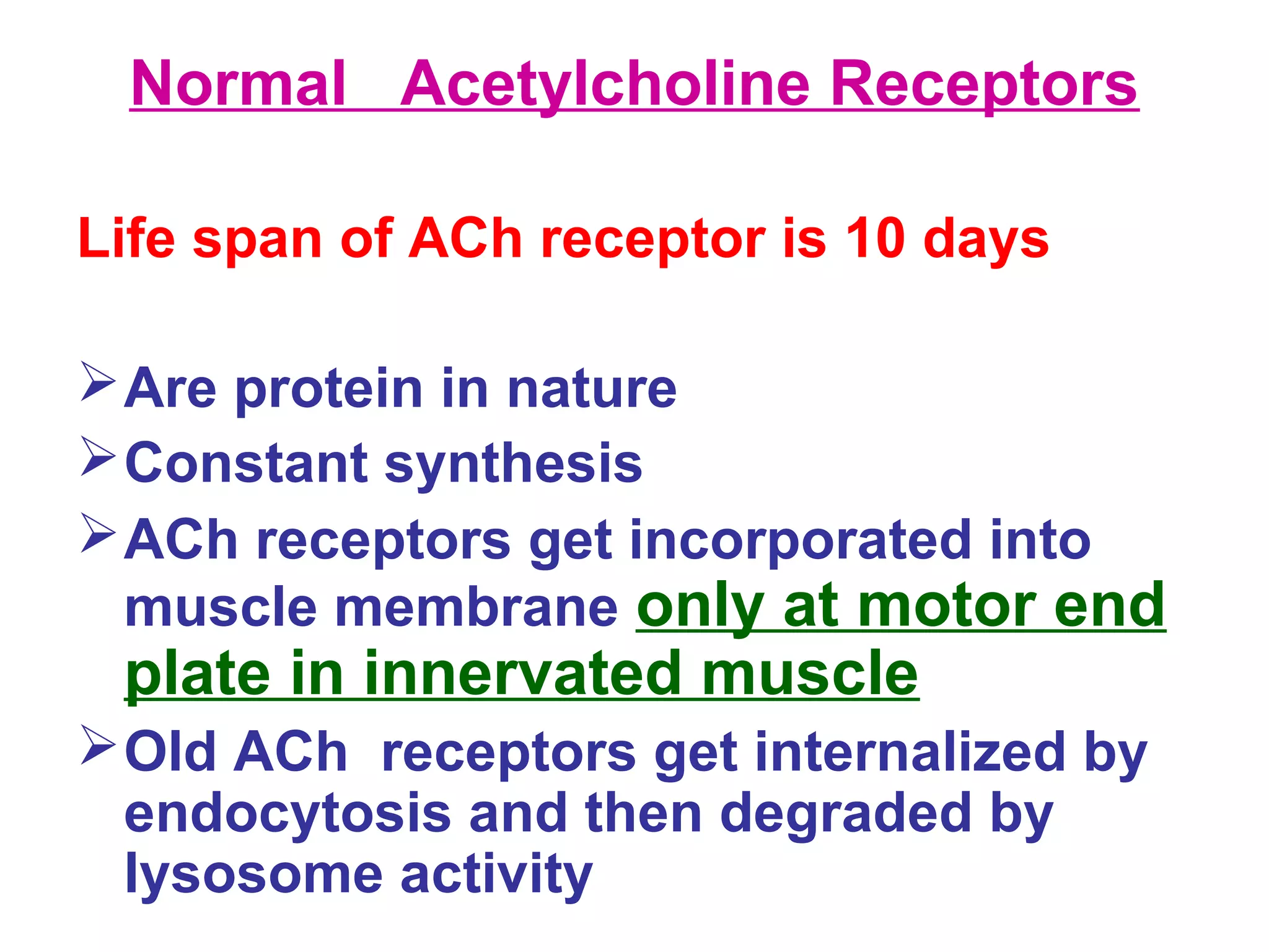 Neuromuscular Transmission | PPT